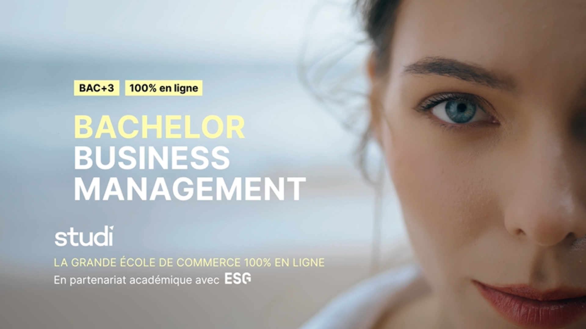 Bachelor Business Management | formation en ligne | Studi